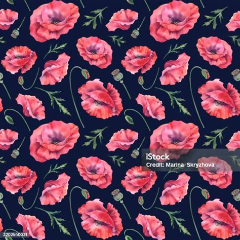 어두운 배경에 빨간 양귀비 야생화의 완벽 한 패턴입니다 손으로 그린 수채화 식물 삽화 초대장 소책자 엽서 패브릭 장식을위한 꽃