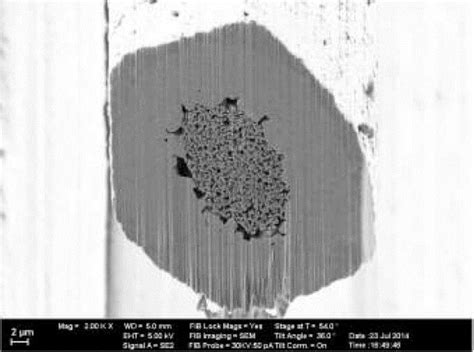 Sem Transversal Fib Cross Section Of A Entire Nb3sn Filament Download Scientific Diagram