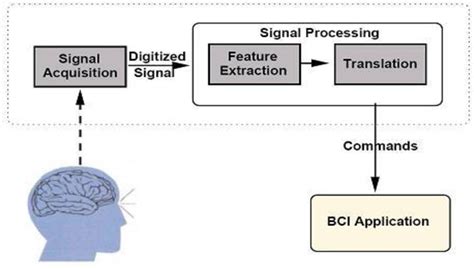 figure 1 from automated classification of l r hand movement eeg signals