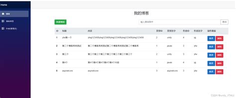 Asp Net Core Webapi Blazorwebassembly Jwt Blazor Login Webapi Csdn