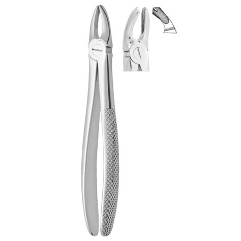 20 Lower Third Molar Insight Surgical