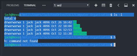 Blue Highlight Over Wsl Terminal · Issue 62101 · Microsoftvscode · Github