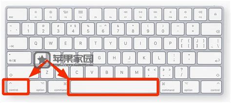 mac切换输入法快捷键 附图解 苹果家园