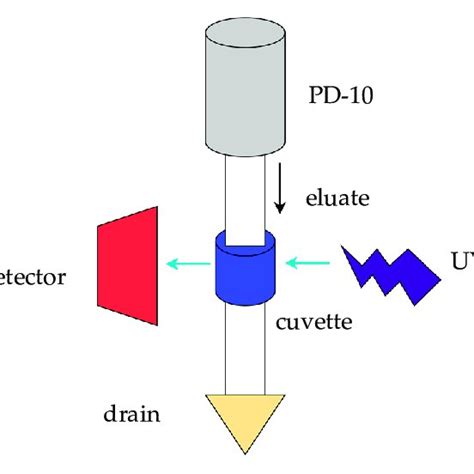 Schematic Diagram Of The Sensor Download Scientific Diagram