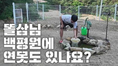 연못님은 우리와 함께 갈 수 없습니다 Youtube