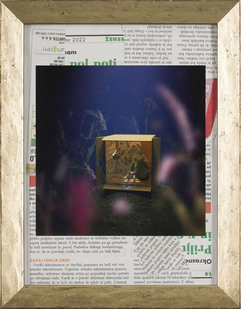 Anja Paternoster Škatla Dobravaga