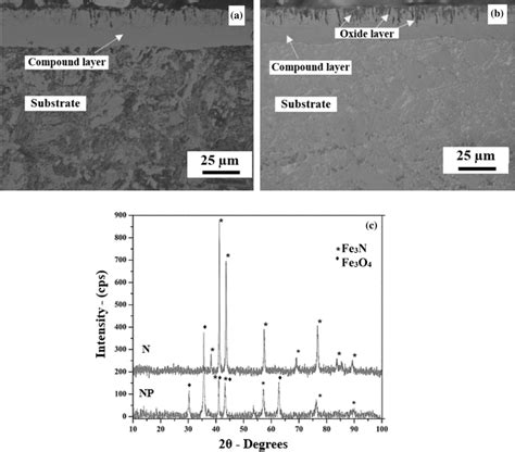 Cross Sectional View Of The Microstructure For A N Sample B Np