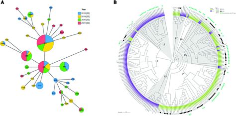 Phylogenetic Analysis Of Campylobacter Isolates A St Typing Of 120