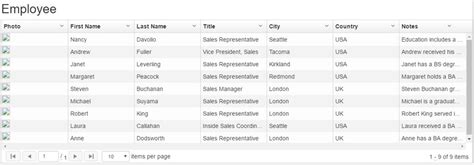 Ui Grid With Angularjs And Webapi