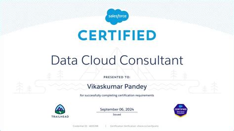 Vikaskumar Pandey On Linkedin Salesforce Datacloudconsultant Certified Salesforceconsultant