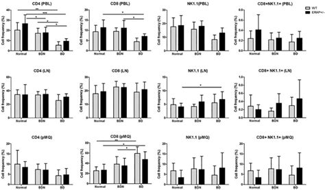 Effects Of Erap1 Expression On Frequencies Of Cd8 Nk1 1 Cells In