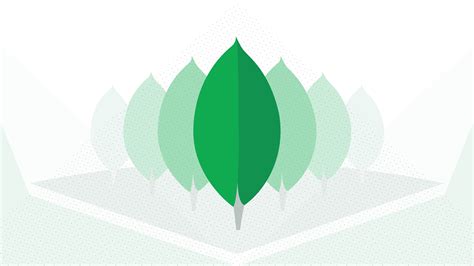 使用wt工具恢复mongodb数据mongodb中文社区 商业新知