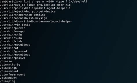 vulnhub basic pentesting 2