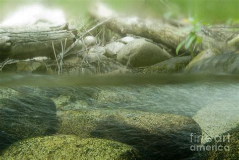 Stream Cross Section Photograph By William H Mullins