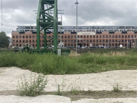 Björn Bracke On Linkedin Great News