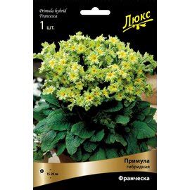 Корневище Примула гибридная Франческа 1шт 437767 купить с доставкой в ...