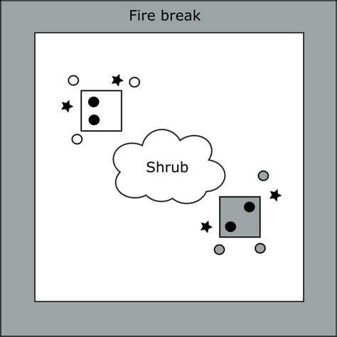 visual representations of the main methodologies conducted in our
