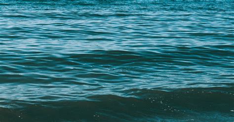 How To Clear WordPress Cache 13 Expert Answers For You