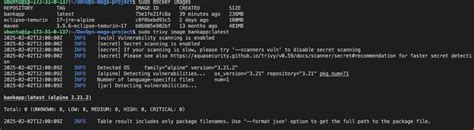 devsecops docker springboot security cloud opensource… anirban