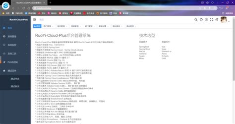 玩转ruoyi cloud plus 8 部署项目 爵岚 博客园