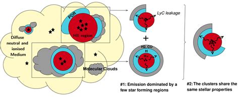 Schematic View Of The Ism Of A Starburst Galaxy And Associated