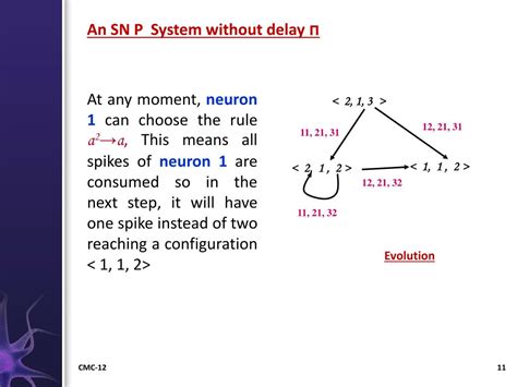 Ppt Simulation Of Spiking Neural P Systems Using Pnet Lab Powerpoint