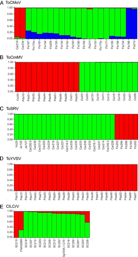 Cluster Analysis Of Population Subdivision Using Structure Each