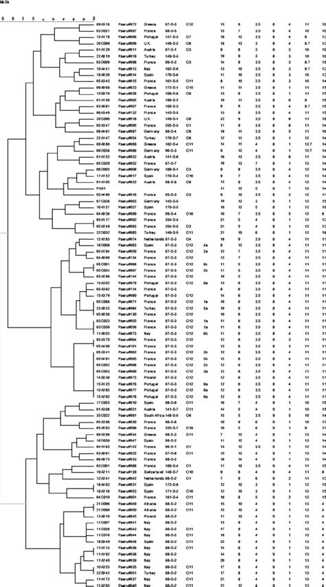 Dendrogram Deduced From The Clustering Analysis Of The 90 Strains