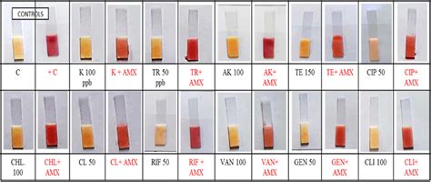 Cross Reactivity Study Of Non ß Lactam Antibiotics On Working Of