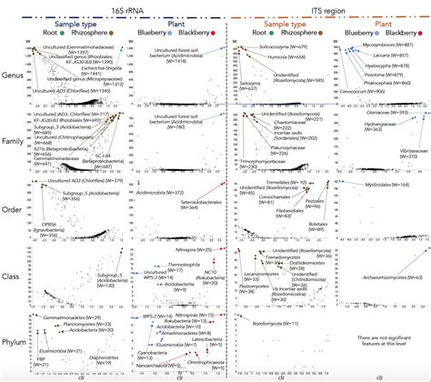 Github Zakisaatiblueberryblackberrymicrobiomes