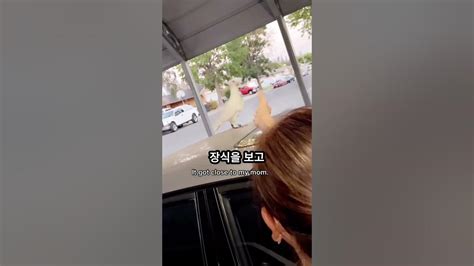 세상을 떠난 아들이 인사하러 온 것 같다고 말하는 가족들 Youtube