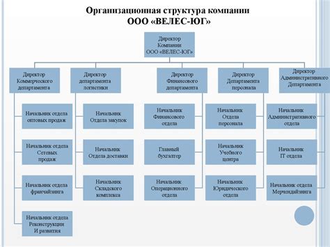 Планирование кадровой политики и разработка кадровой стратегии на ...
