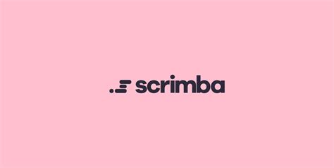 Scrimba Reinvents Online Code Learning With Interactive Platform