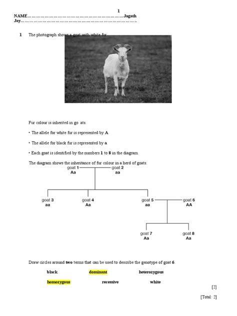 Biol0gy Week 1 Lessson 3 Work Inheritance Wd Pdf Sex Allele