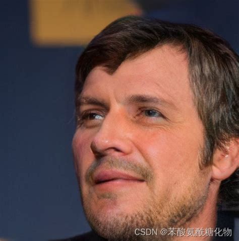 计算机毕业设计 基于深度学习技术（u Net架构下融合生成对抗网络gan与transformer）的专一或多类别图像修复算法（含github