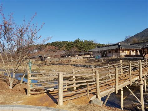 2024년 4월을 열어가는 개띠 운세와 맞춤 명언