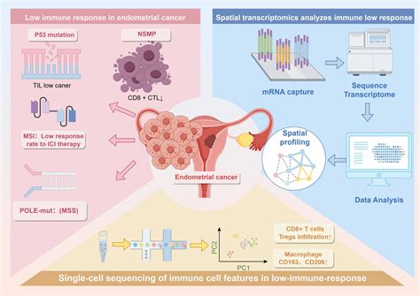 Frontiers Single Cell Technologies And Spatial Transcriptomics