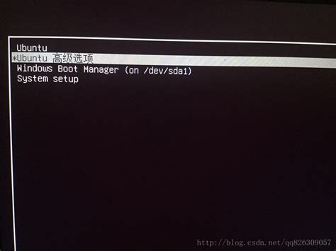 win10与ubuntu16 04 双系统安装 grub install error will not proceed with