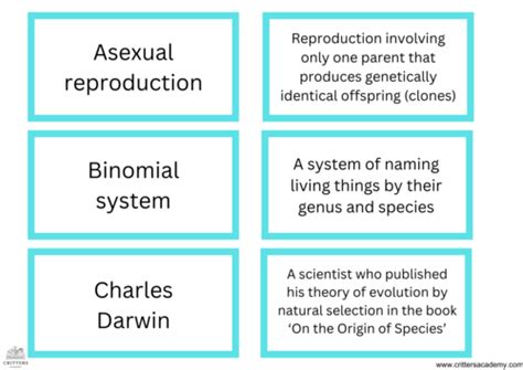 Gcse Biology Inheritance Variation And Evolution Key Word Flash Cards Teaching Resources