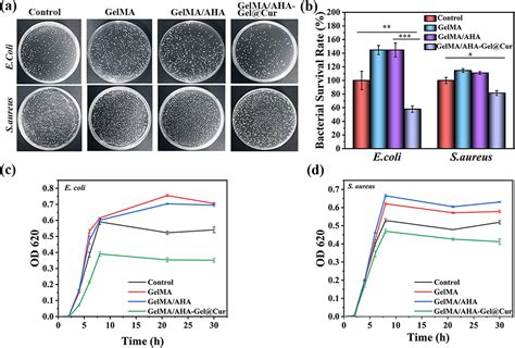 Curcumin Loaded Nanocomposite Hydrogel Dressings With Antibacterial Pr Ijn