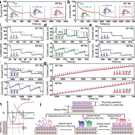 Chromatic Adaptation Of The Retina And The Retinomorphic Device A The