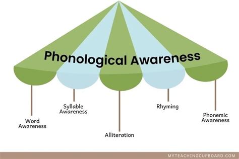 What Is Phoneme Segmentation — My Teaching Cupboard
