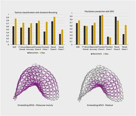 feature mapping and industrial machine learning applications kipu