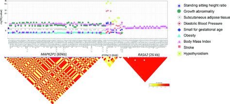 Phewas Result And Linkage Plot For Variants With Pleiotropy In Download Scientific Diagram