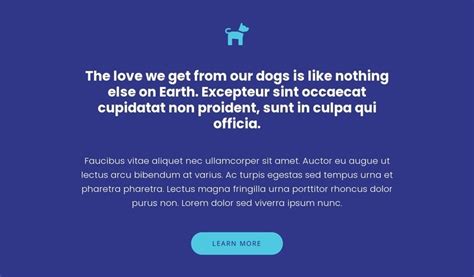 icon texts and button html code example by nicepage