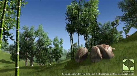 Speedtree 50 Reference App Huangshan Forest Youtube