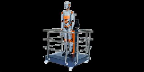 Ai Intelligent Biped Robot Bedo