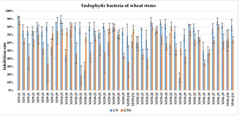 Figure 2 From Screening Of Endophytic Antagonistic Bacteria In Wheat And Evaluation Of
