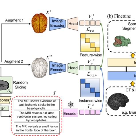 Schematic Diagram Of Behavior Tracking And Feature Fusion Process