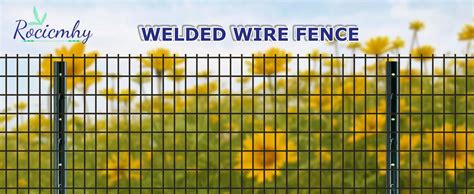 Black Coated Welded Wire Fencing 2x3 48inch X50ft 16ga